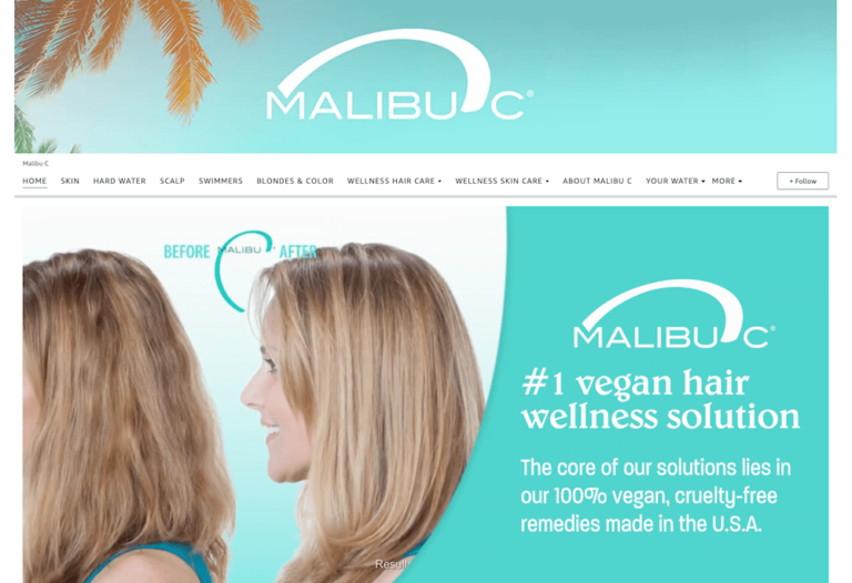 Best Amazon Stores: 9 Inspiring Examples Of Brand Excellence - Emplicit